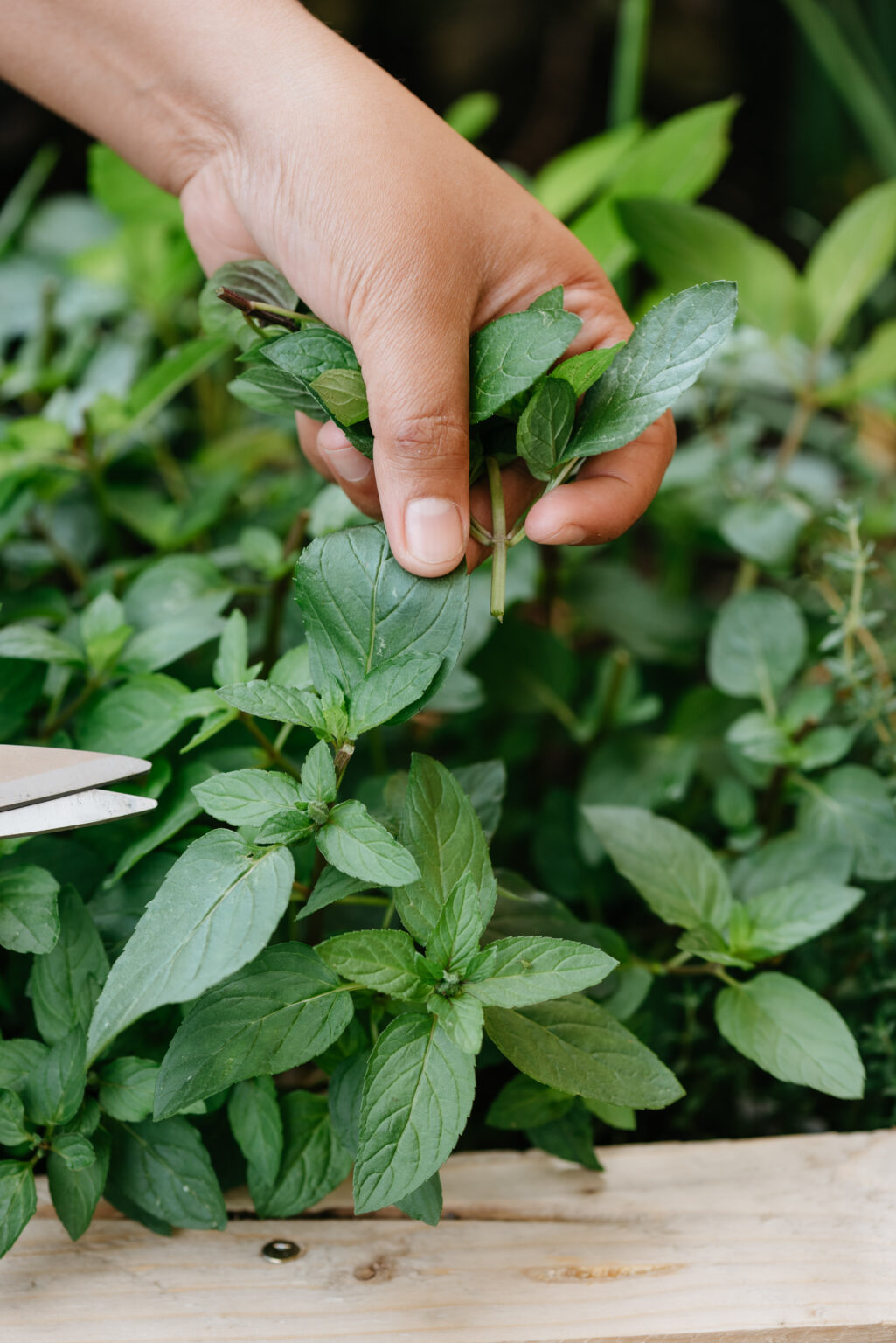 11 Short Stories High School Students Will Actually Enjoy - Three Heads