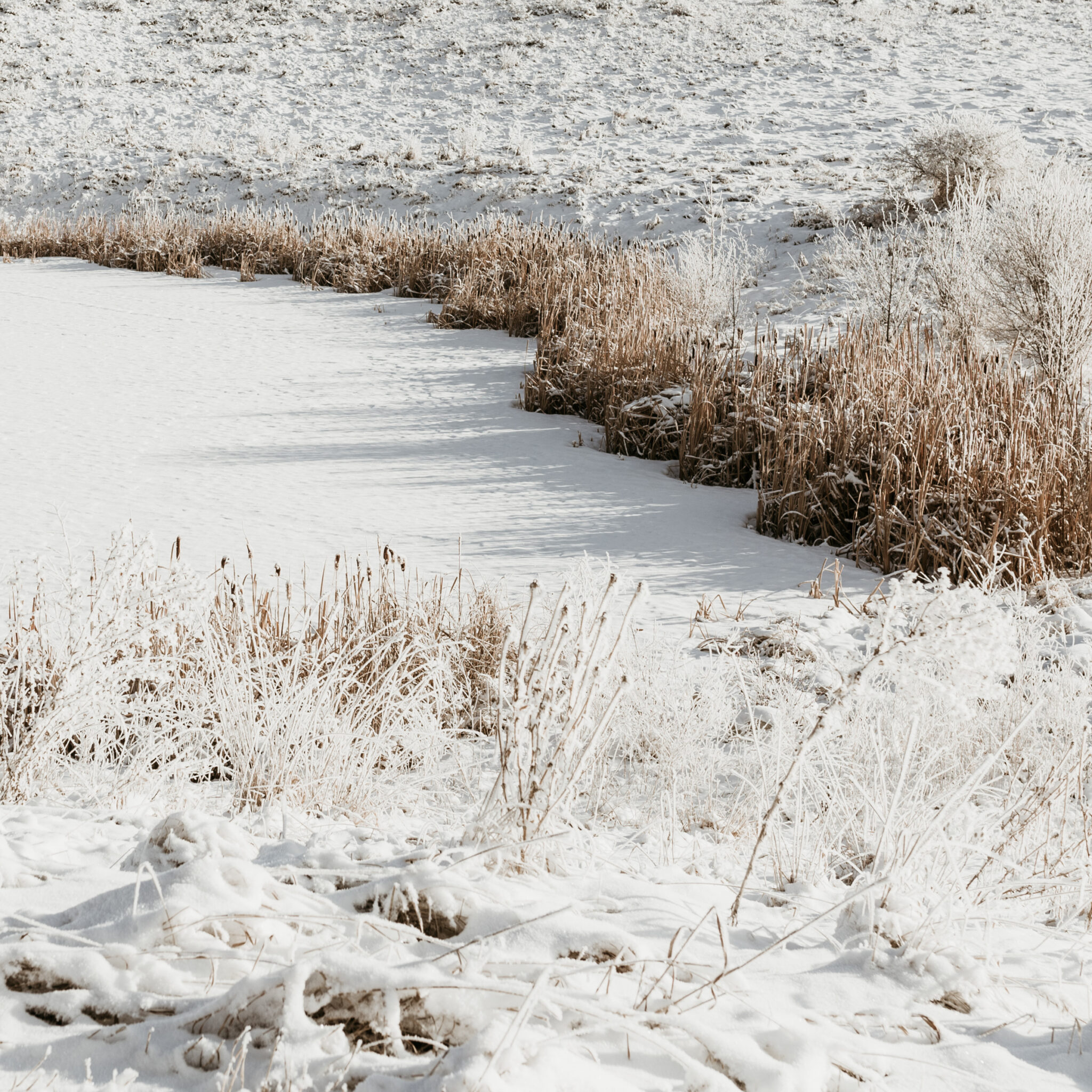 How to Teach Character Analysis: 8 Strategies & 10 Short Stories ...